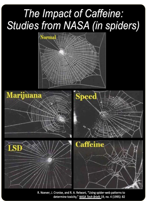 Niomi – Page 2 – I'd rather be a forest than a street